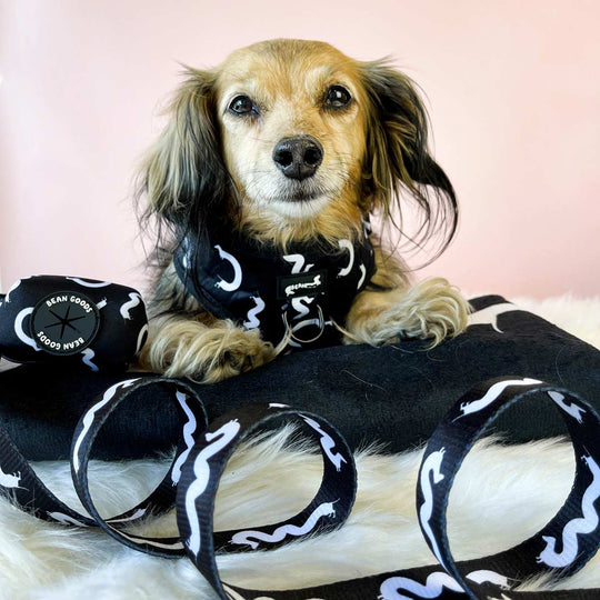 Bundle & Save Up to 35% – bean goods